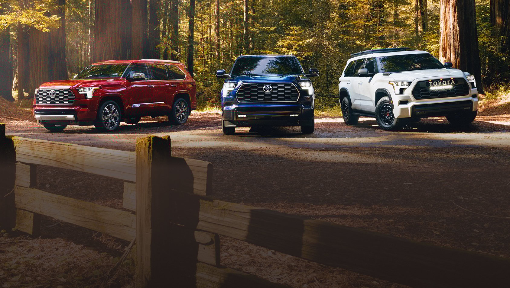 2025 Sequoia | Wayne Toyota