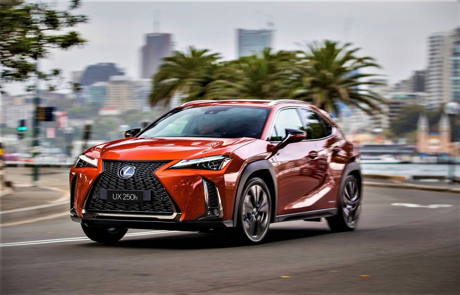 LEXUS RX, NX, AND UX: WHICH SUV IS RIGHT FOR YOU? - Lexus South Pointe