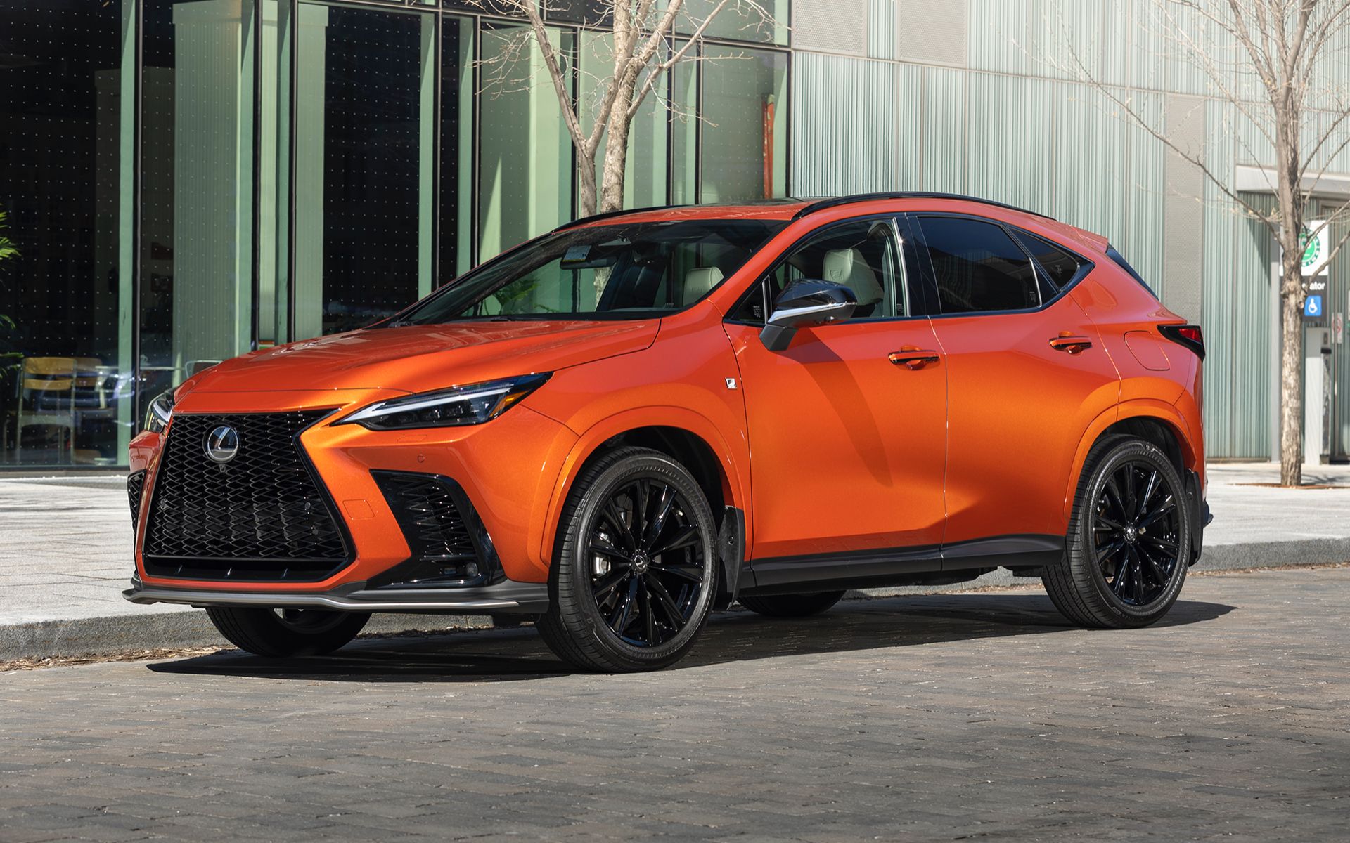 5 REASONS WHY WE LOVE THE 2023 LEXUS NX - Lexus South Pointe