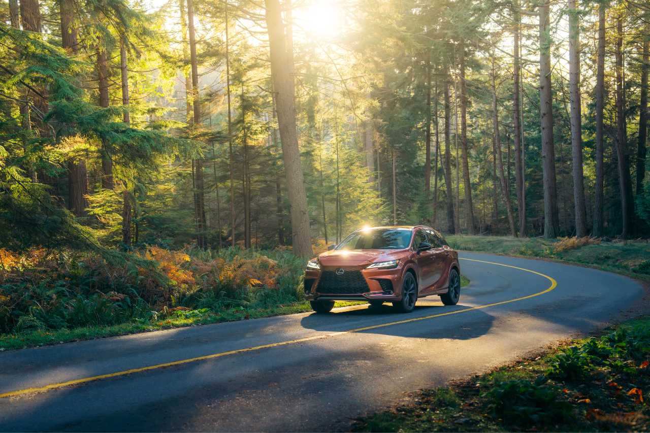 Everything You Need To Know About The 2024 Lexus RX