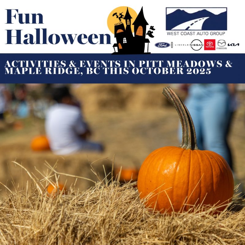 Fun Halloween Activities & Events in Pitt Meadows & Maple Ridge, BC