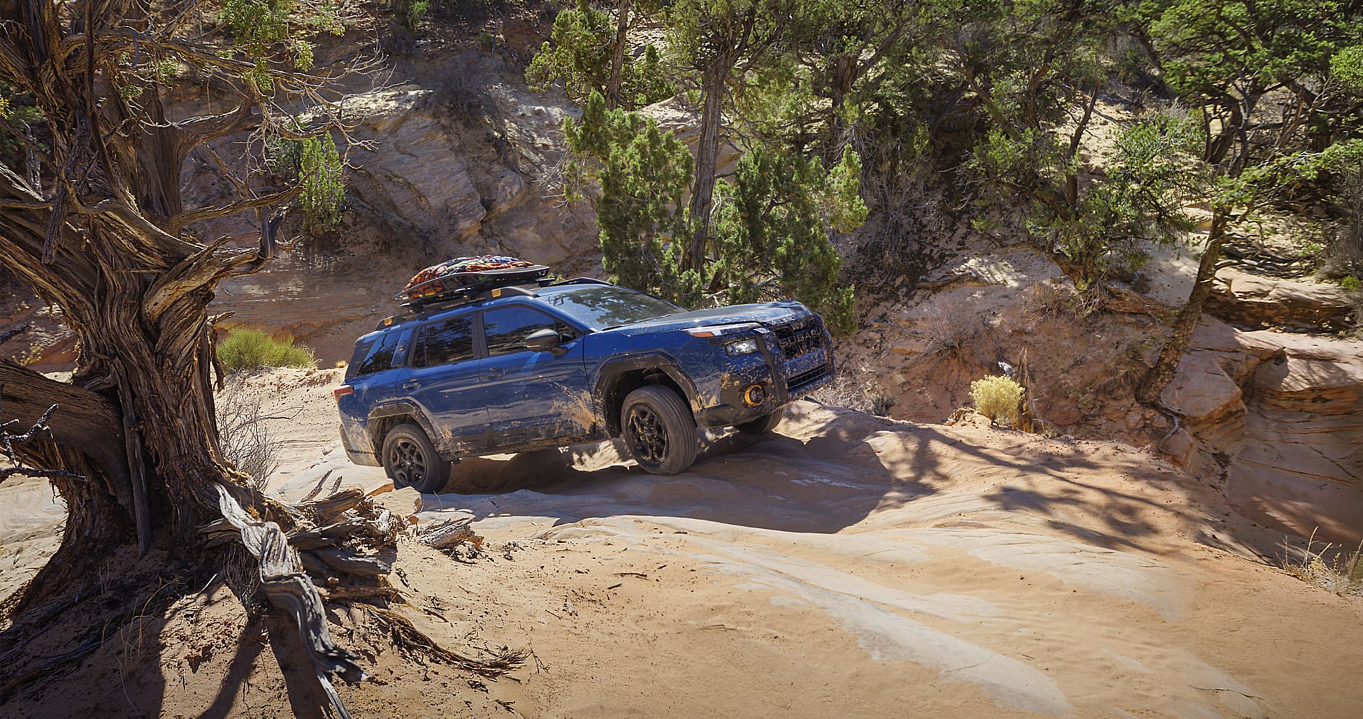 Discover the 2026 Subaru Outback Wilderness at Subaru of Moncton