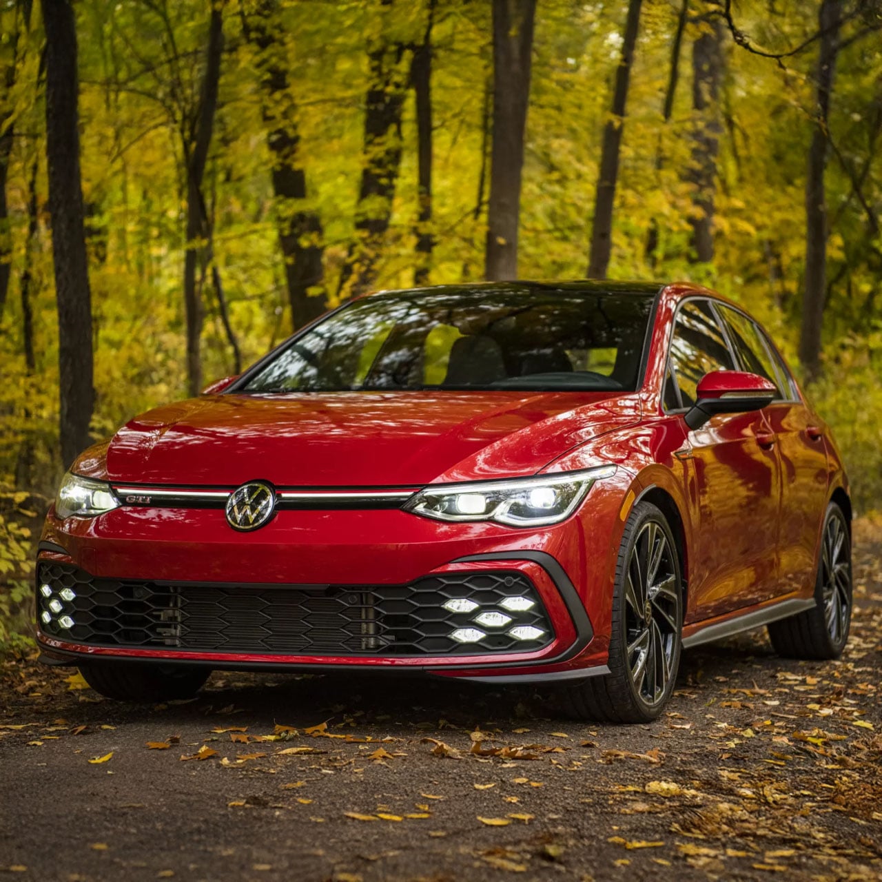 Paint Protection - Crosby VW